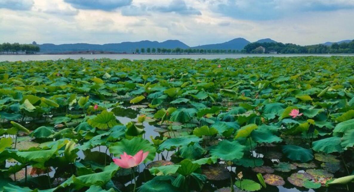 West Lake – The Best China Travel Blogs