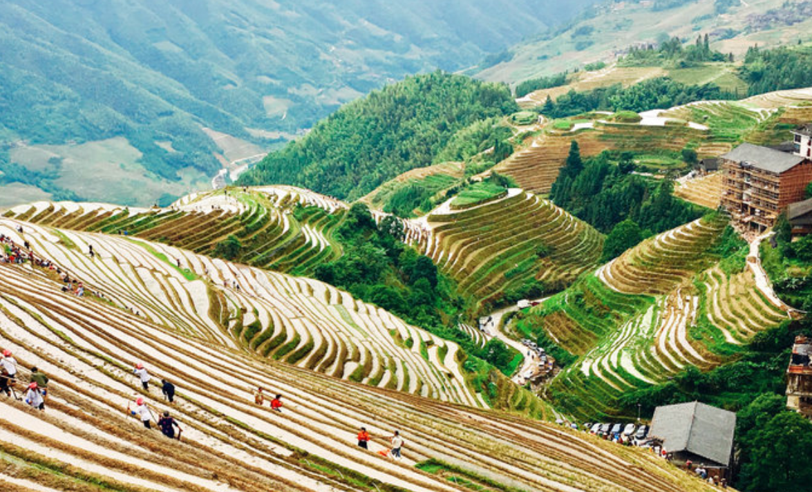 Longji Rice Terraces – The Best China Travel Blogs