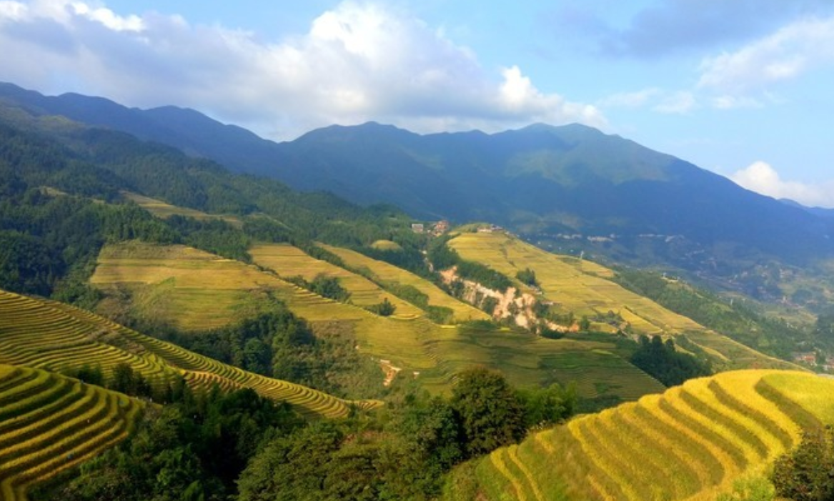Longji Rice Terraces – The Best China Travel Blogs