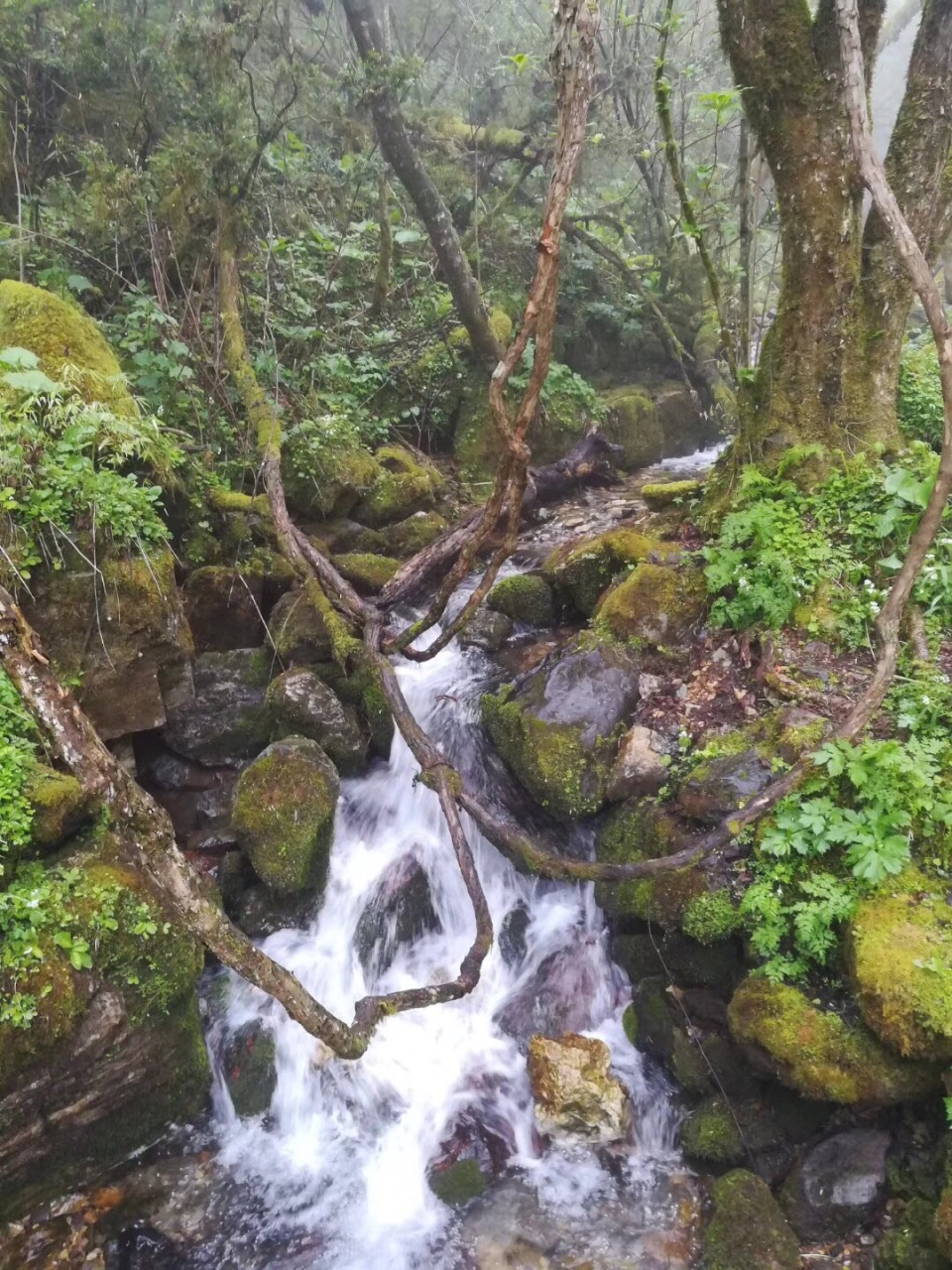 Shennong Stream – The Best China Travel Blogs